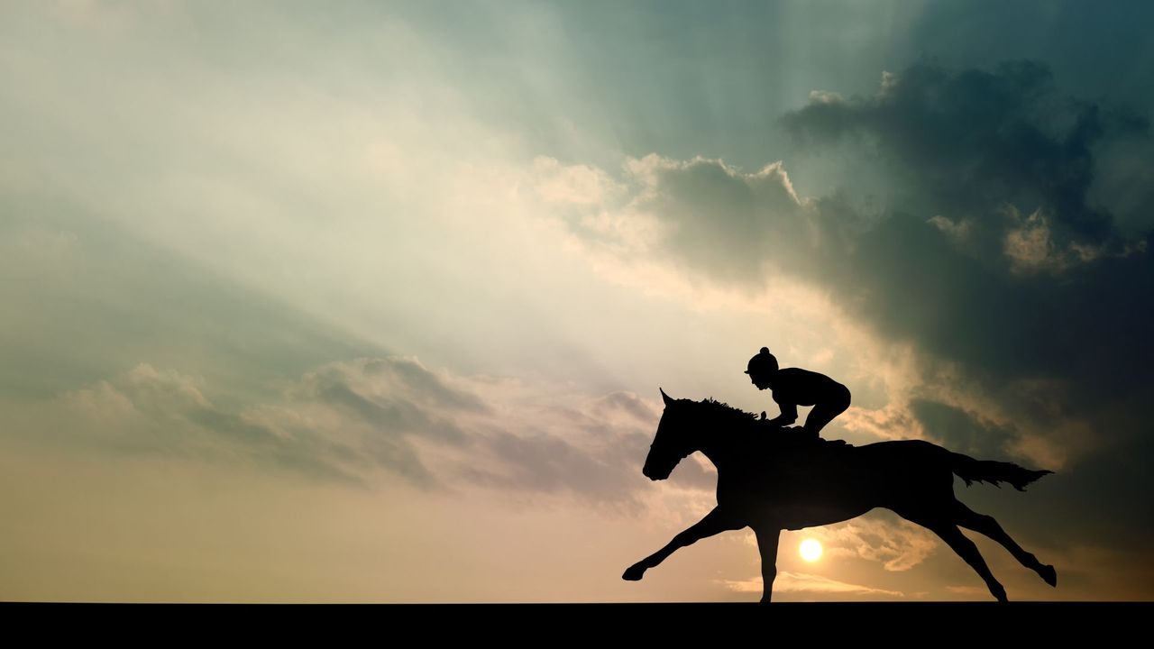 Brown & Brown unit acquires ‘significant’ international bloodstock book ... Brown & Brown unit acquires ‘significant’ international bloodstock book ...